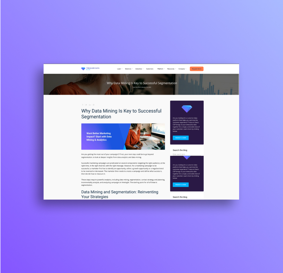 Utilizing Audience Segmentation Software - Treasure Data