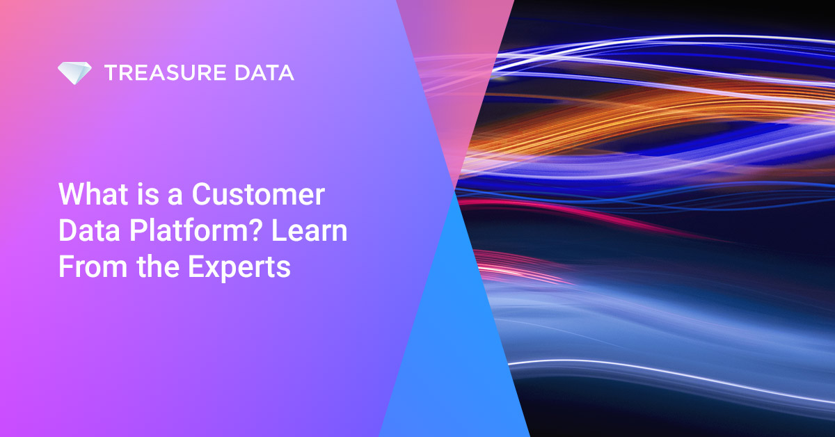 What is a Customer Data Platform? Learn From the Experts