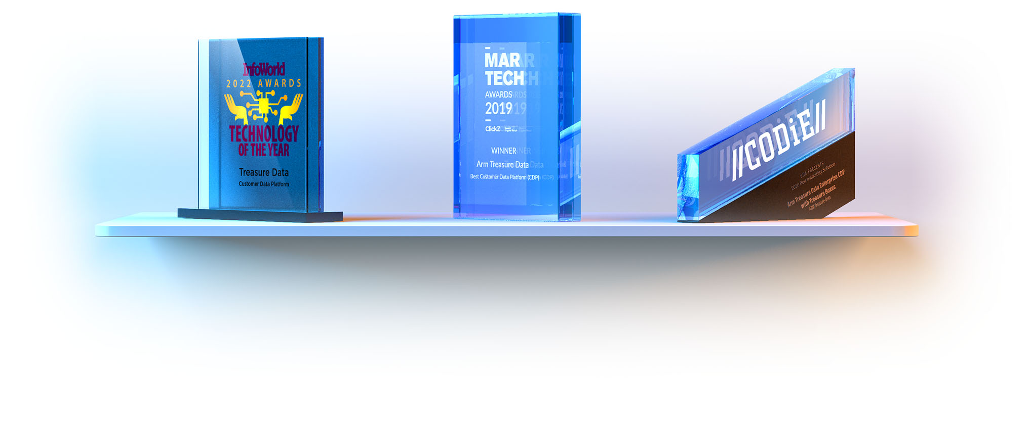 Enterprise Customer Data Platform Leaders - Treasure Data